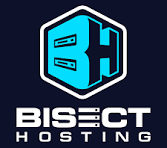 Bisect Hosting Review | Gameserverhosting.co.uk